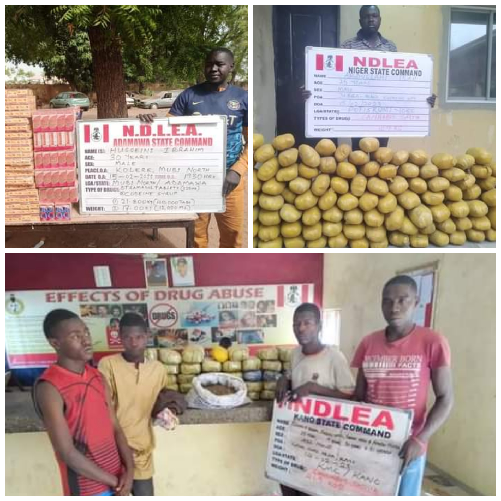 Chadian and others arrested as NDLEA recovers 2.6million opioids